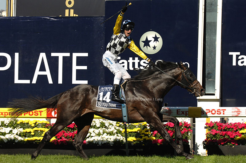 Pete's Top Twelve Cox Plates - Peter Ellis Racing