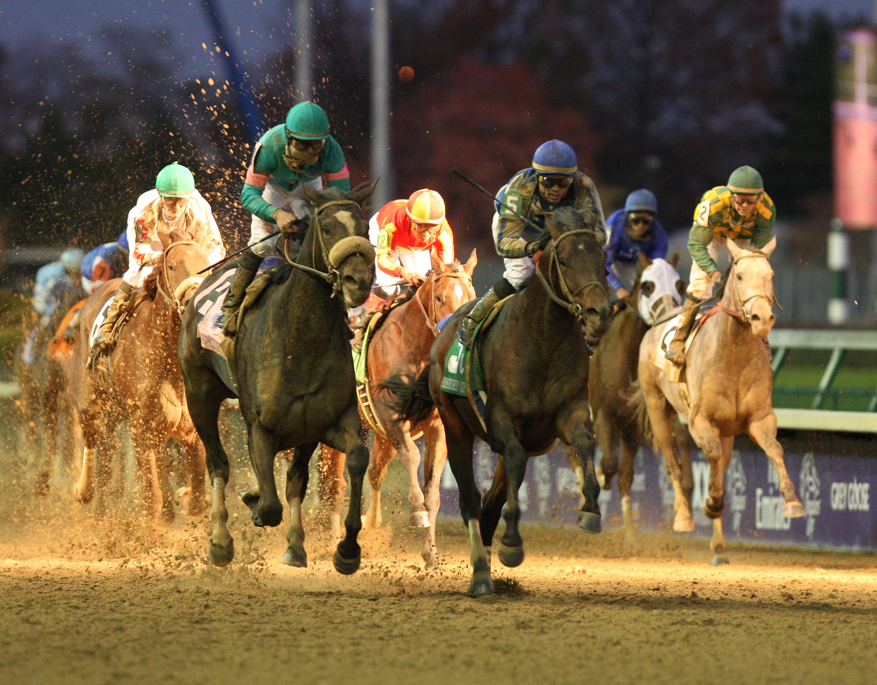 Preview of 2021 Breeders' Cup at Del Mar, California by George Cottrell ...