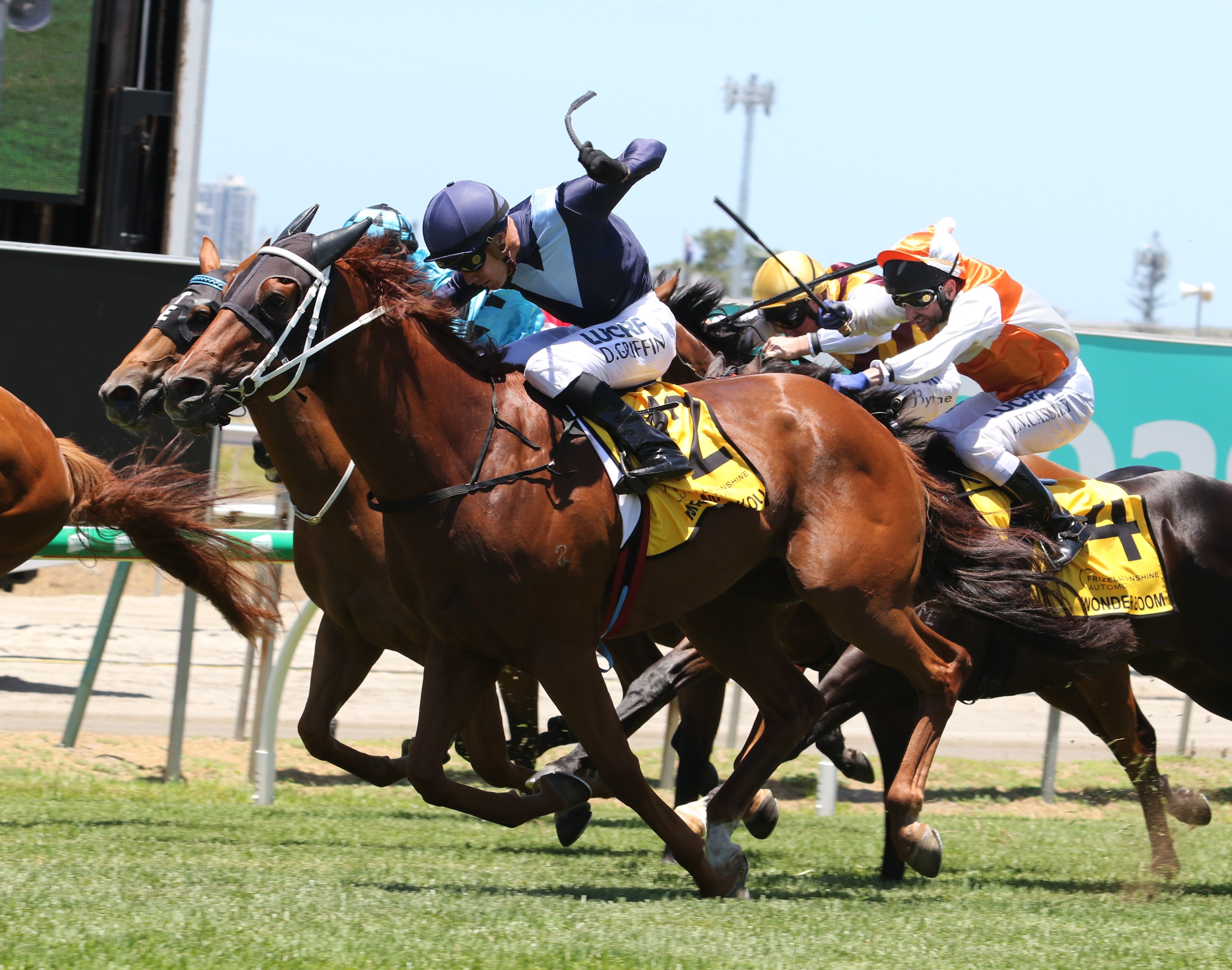 Magic Millions Pictorial by Grant Guy - Peter Ellis Racing