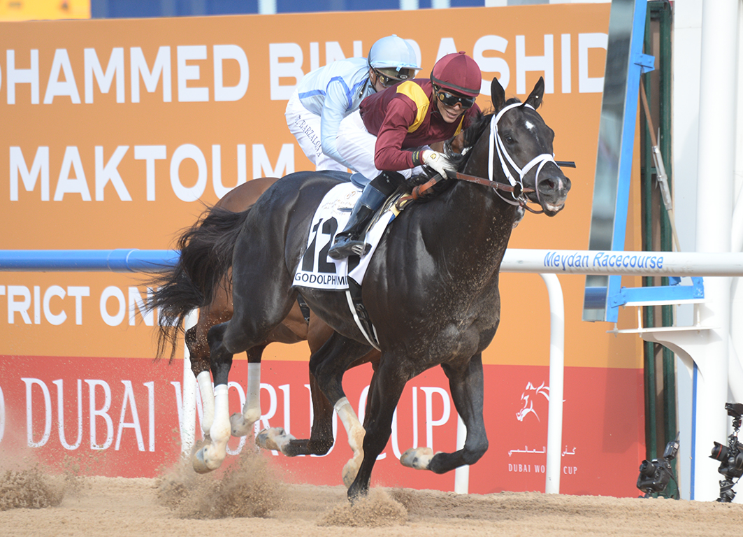 Dubai World Cup Pictorial by Ross Holburt - Peter Ellis Racing