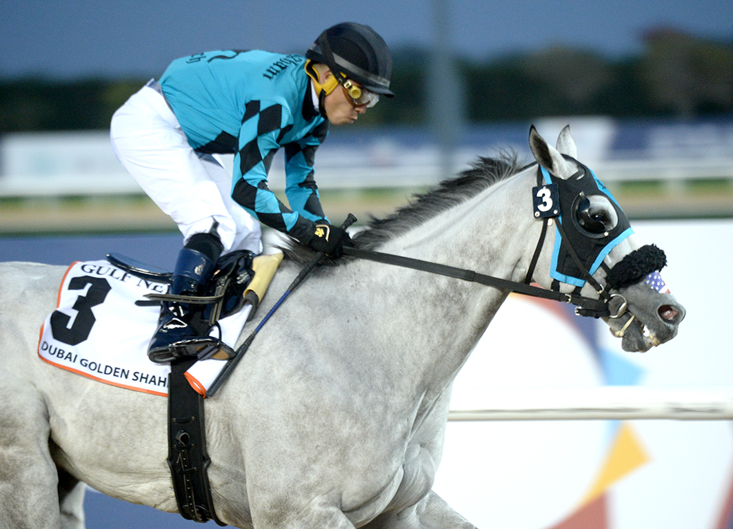 Dubai World Cup Pictorial by Ross Holburt - Peter Ellis Racing