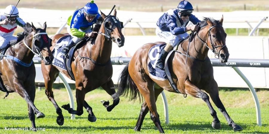 Road To Dubai World Cup Vol. 2 by Dubai Racing Club - Peter Ellis Racing