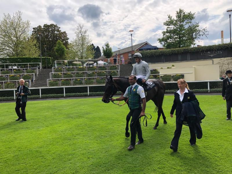 Dee Ex Bee enters Gold Cup picture with impressive success in G3 ...