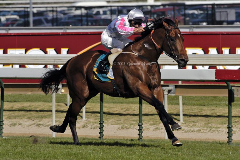 Caulfield Sep 21 Selections by Peter Ellis (Updated) - Peter Ellis Racing